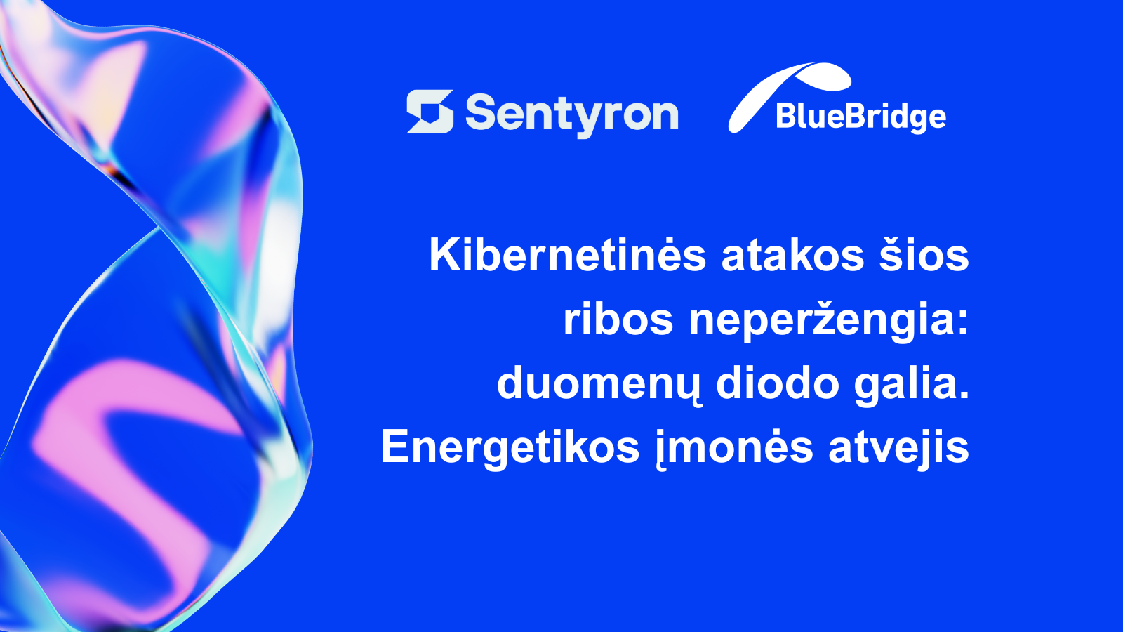 Kibernetinės atakos šios ribos neperžengia: duomenų diodo galia ...
